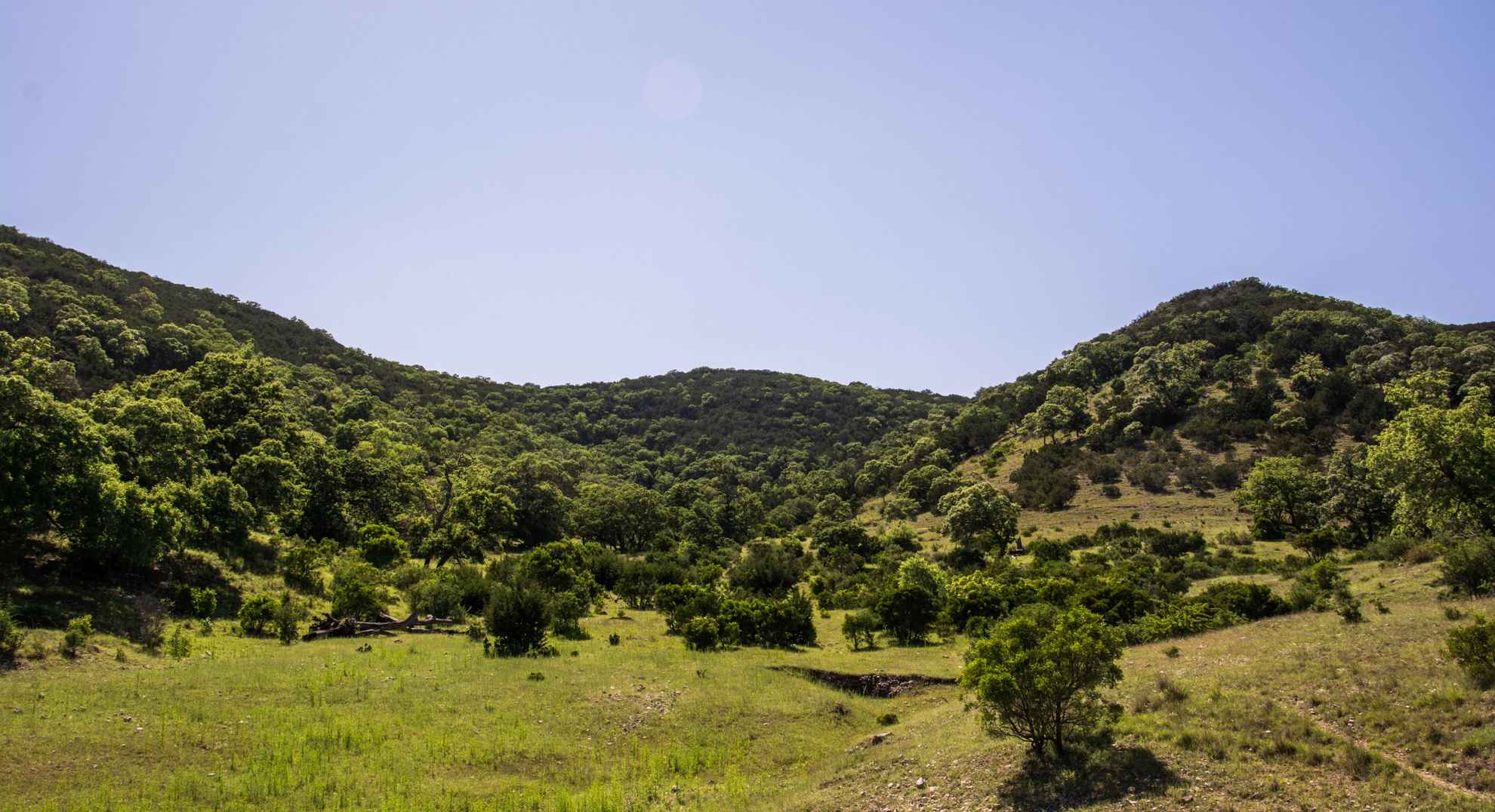 Foster Ranch - Texas Land and Ranch Co |Morris Killough | Utopia, TX