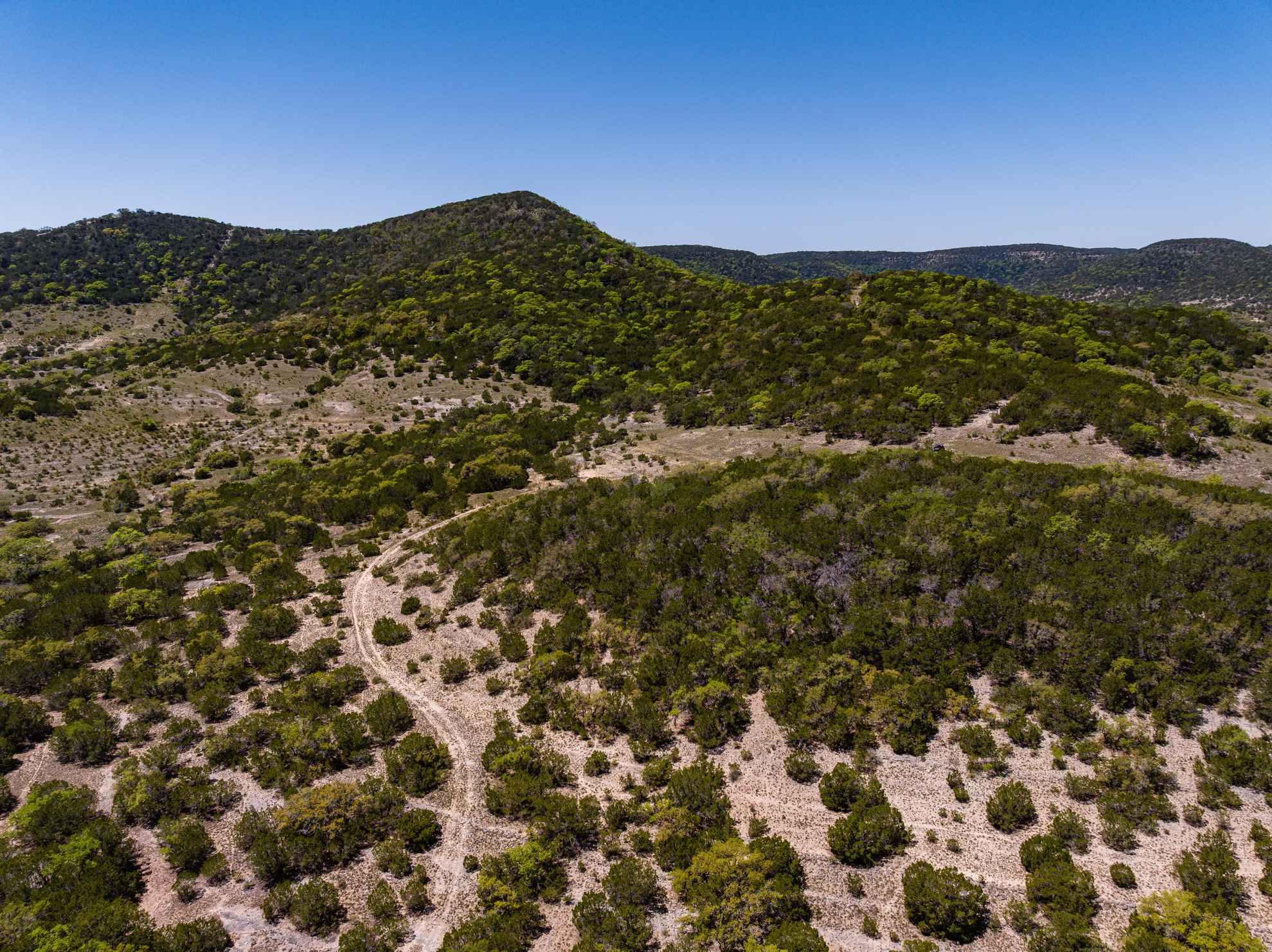Bear Creek - Texas Land and Ranch Co |Morris Killough | Utopia, TX